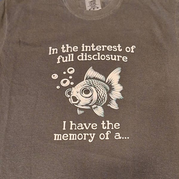 Neuro Spicy Autism Tshirt, Cute Kawaii Cat Noodle Shirt, Cat Lover ...