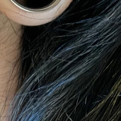 6 Steel Pinchers 0g 2g 4g 6g 8g 10g Horseshoes Talons Tapers - Etsy