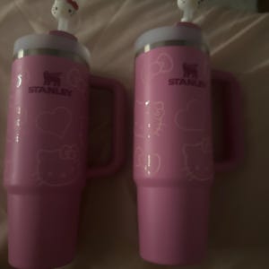 Kitty Stanley Tumbler | Cute Halloween Yeti | Owala | Mint | Chrome ...
