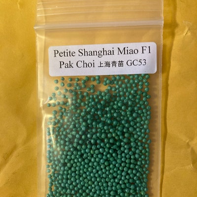 40 Sambar Cucumber Seeds Ancient Indian Heirloom Variety - Etsy