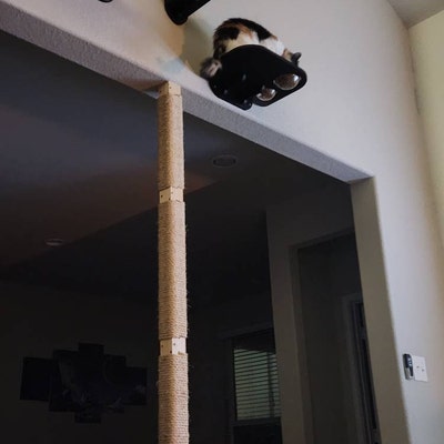Cat Pole Cats Can Climb From Floor to Ceiling for Play and Exercise ...