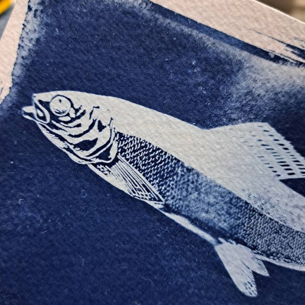 Cyanotype Stencils, Cyanotype Kit Just Stencils, Vintage Leaves ...