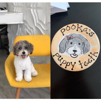 New Puppy Tooth Box / Puppy Teeth Box / Custom Pet Gift / Personalized ...