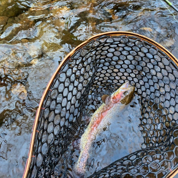 3 Tactical Masked Bandit 1 FREE Random Fly Streamer for Fly Fishing ...