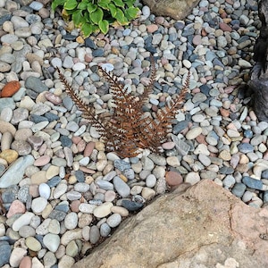 24 Long Side Mount Metal Security Fence Wall Spikes Anti-climb Fence ...