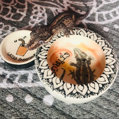 Small Quirky Gecko Dishes - Etsy