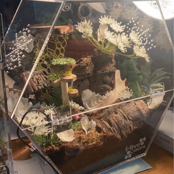 The Hive. Large Spider Cage, Bug Cage, Custom Enclosures, Hive Customs ...