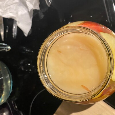 Apple Cider Mother of Vinegar Scoby ACV Starter Homemade Probiotic ...