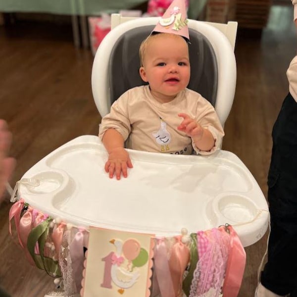 One Silly Goose Cake Topper, Goose 1st Birthday Decorations - Etsy