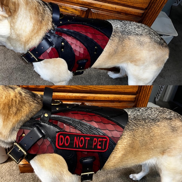 Heimdall Leather Dog Harness Armor - Etsy