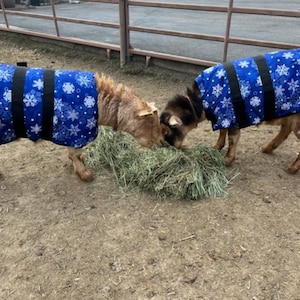 Insulated KID Goat Coat 14 Topline Perfect for - Etsy