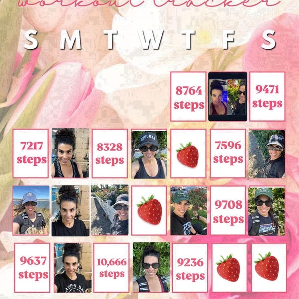 LIIFT More Super Block Tracker | Lift More Joel Freeman Bodi Super ...