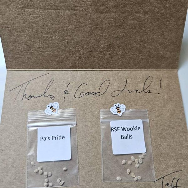 Vilma Micro Dwarf Tomato Seeds Florida Heat Friendly - Etsy