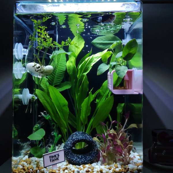 Aquaneat LED Light Riser, Attractive Stable Elevated Stand, Quality LED ...