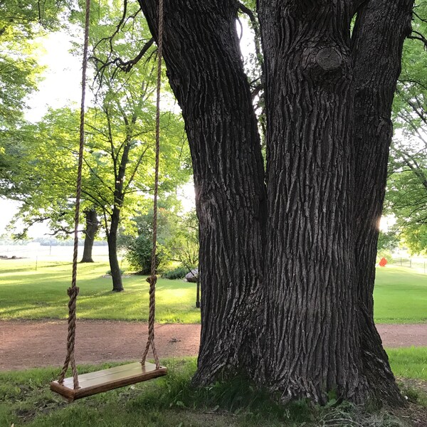 Handcrafted Wooden Tree Swing, Natural or Charred, Rope Included - Etsy