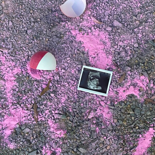 Gender Reveal Fishing Bobber Fisher Gender Reveal Fishing Lures or ...