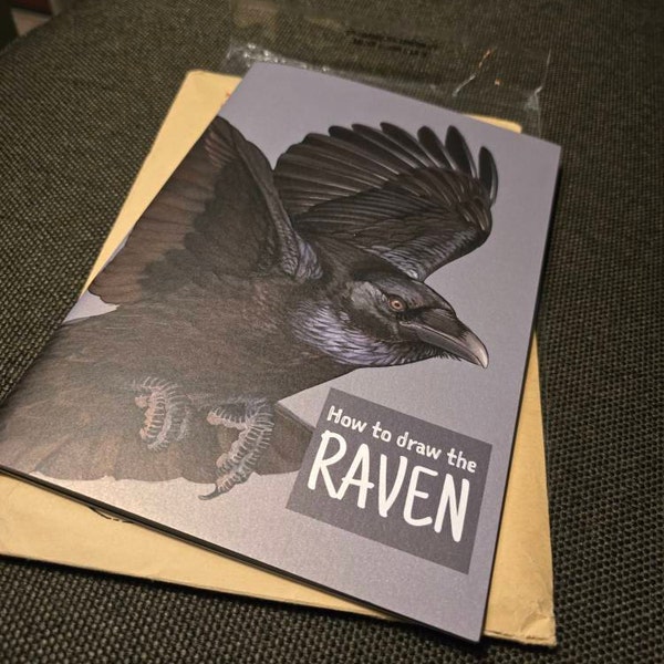 How to Draw Ravens: Anatomy and Wings - Etsy UK