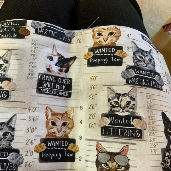 Celestial Panel Cotton Fabric, 3290P-99 Celestial Galaxy, Color Pop ...