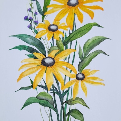 Daisy Flower Drawing Outline Digital Download Printable Traceable ...