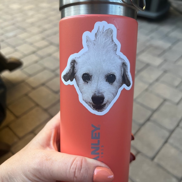 Custom Pet Sticker, Animal Sticker, Personal Sticker, Photo Pet Sticker ...