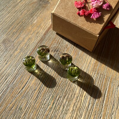 Natural Moss Mushroom Gauges Real Plug Mushroom Plug Real - Etsy