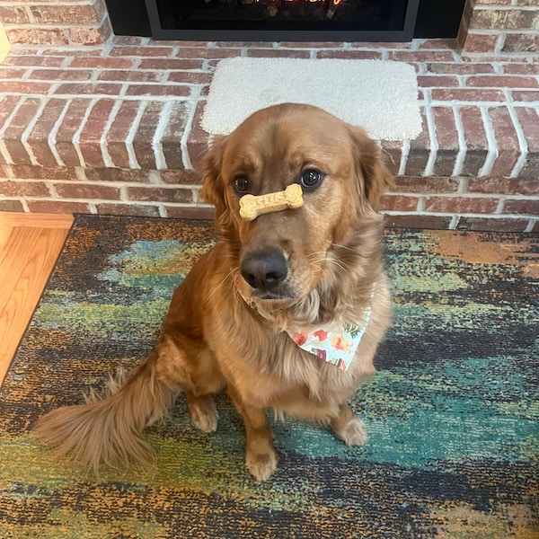 Texas State and Star Whiskey Ice Cube Tray | Texas Silicone Cocktail ...