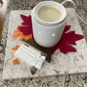 Reed Diffuser Sticks Only Diffuser Stick Bundle Bundle Reed - Etsy