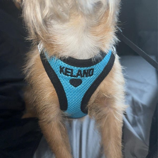 Embroidered Custom No Pull Dog Harness W/dog's Name - 5 Fonts, 7 Icons ...