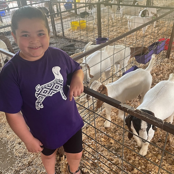 FLORAL Show Lamb Graphic Tee Livestock Tshirt Stock Show Shirt Show ...