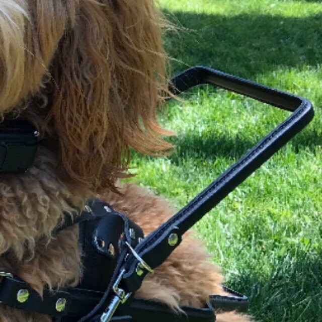 Custom Handle for your Service Dog Harness, Rigid Handle, Semi Rigid ...