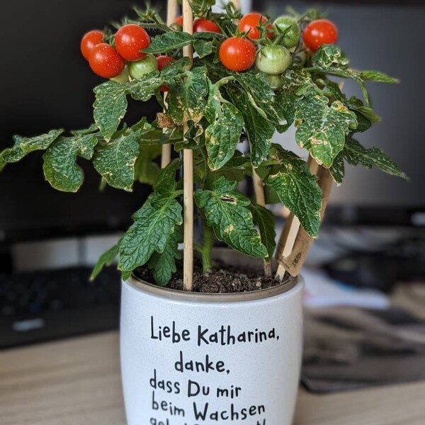 Stickers for Flower Pots as a Farewell Gift or Gift Idea for Teachers ...