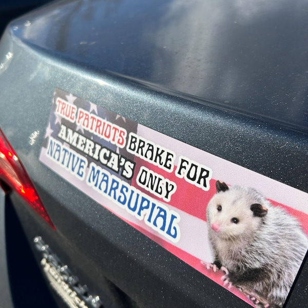 Student Driver | Sad Hamster Car Bumper Sticker | Crying Funny Cute ...