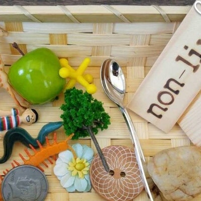 Animal Classification Sorting Set, Montessori Object Classification ...