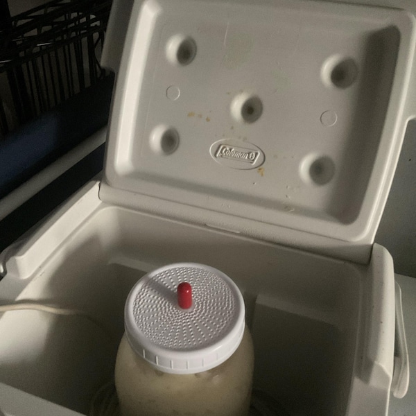 Kefir Fermenter: Container With Kefir Grains (20 G) - Etsy