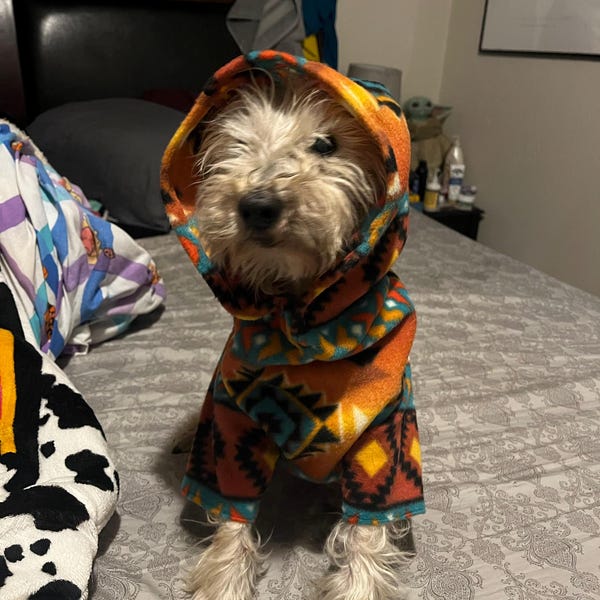 Straight Leg Pants Sewing Pattern Trousers Pattern Pants Pattern Women ...