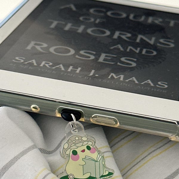 Kindle Insert Kindle Srickers E-reader Holographic Case Insert Kindle ...