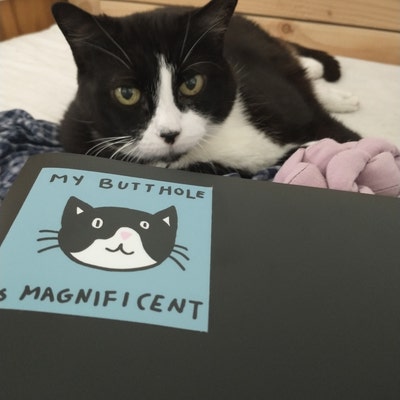 Bad Brain Day Sticker - Etsy