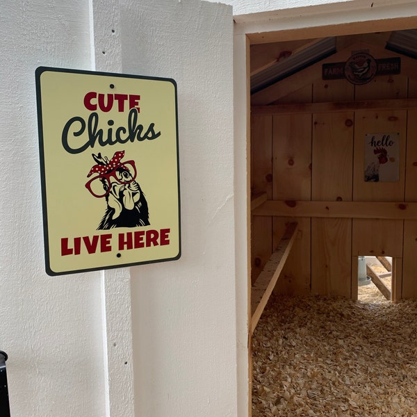 Cute Chicks Sign, Sign for Chicks, Farmers Coop, Chicken Home, Chick ...