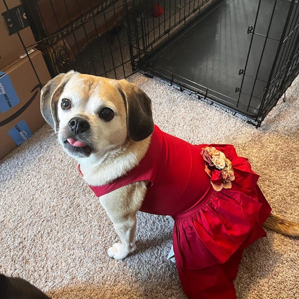 Terracotta Wedding Collar the Chauncy Rust and Burnt Orange Bridesmaid ...