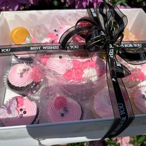 10 Cake and Cupcakes Bento Boxes With Clear Lid and Cupcake Holes, Cake ...