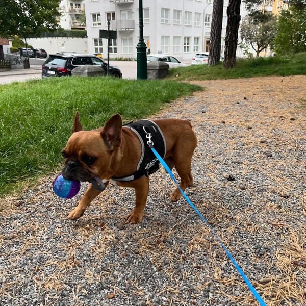 Accurate Telepathy Reading Without Tarot Cards, Same-hour Psychic Mind ...