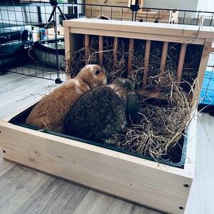 Rabbit Hay Feeder With Removable Litter Tray - Etsy UK