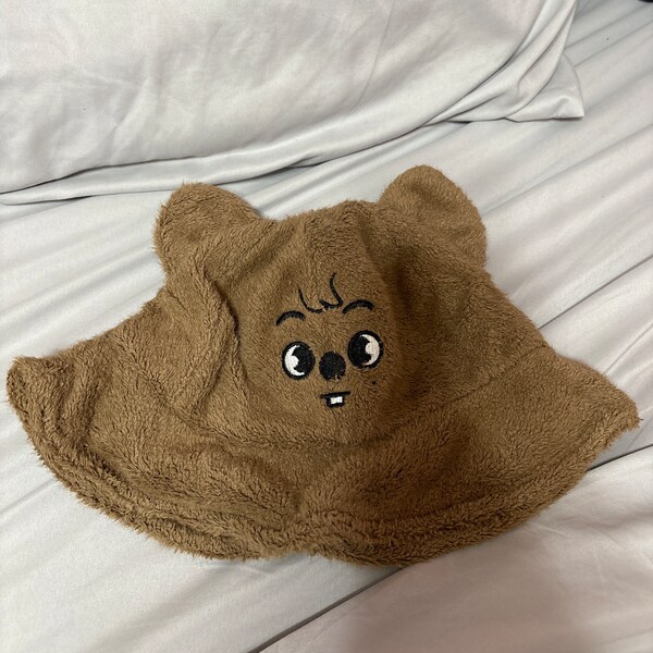 Stray Kids Lee Felix Bbokari brownie Boy Embroidered Hoodie Merch - Etsy