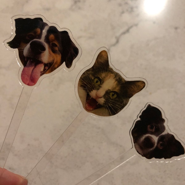 Printed Signature Dog Pet Stir Stick, I Do Too & Dog of Honor ...