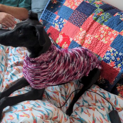 Izzy the Lurcher Sock Dog Knitting Pattern Download - Etsy
