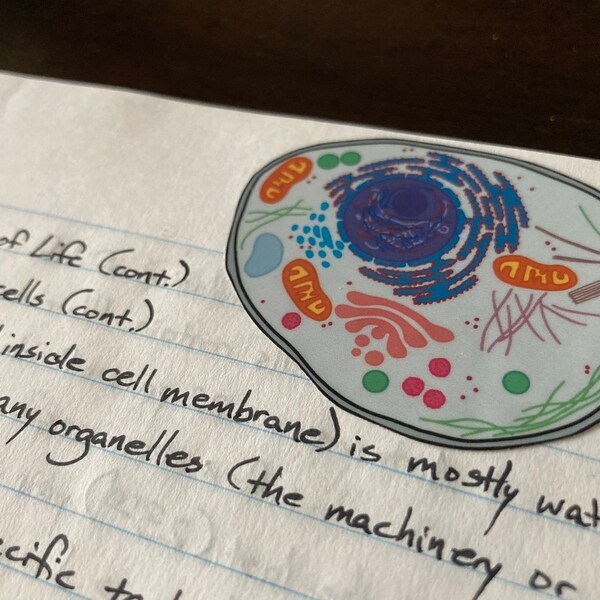 Eukaryotic Cell Sticker Biology Science Sticker Science Nerd Holiday ...