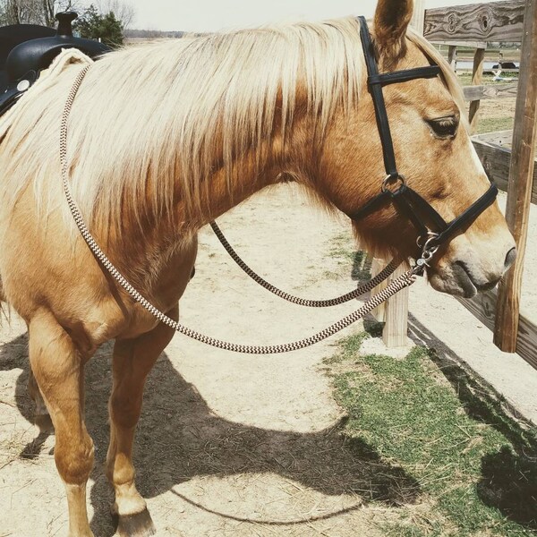 Custom Finesse Loop Reins, Finesse Style Yacht Rope Reins, Rope Reins ...