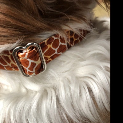 Giraffe Print Dog Collar by Swanky Pet - Etsy