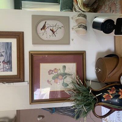 11x14 Inch Mark Catesby Birds, Set of 4 Printables, Vintage Bird ...