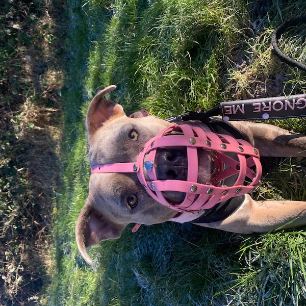 Dog Lead Sleeve Wrap Warning Lead Wrap, Space Needed, Nervous Dog ...